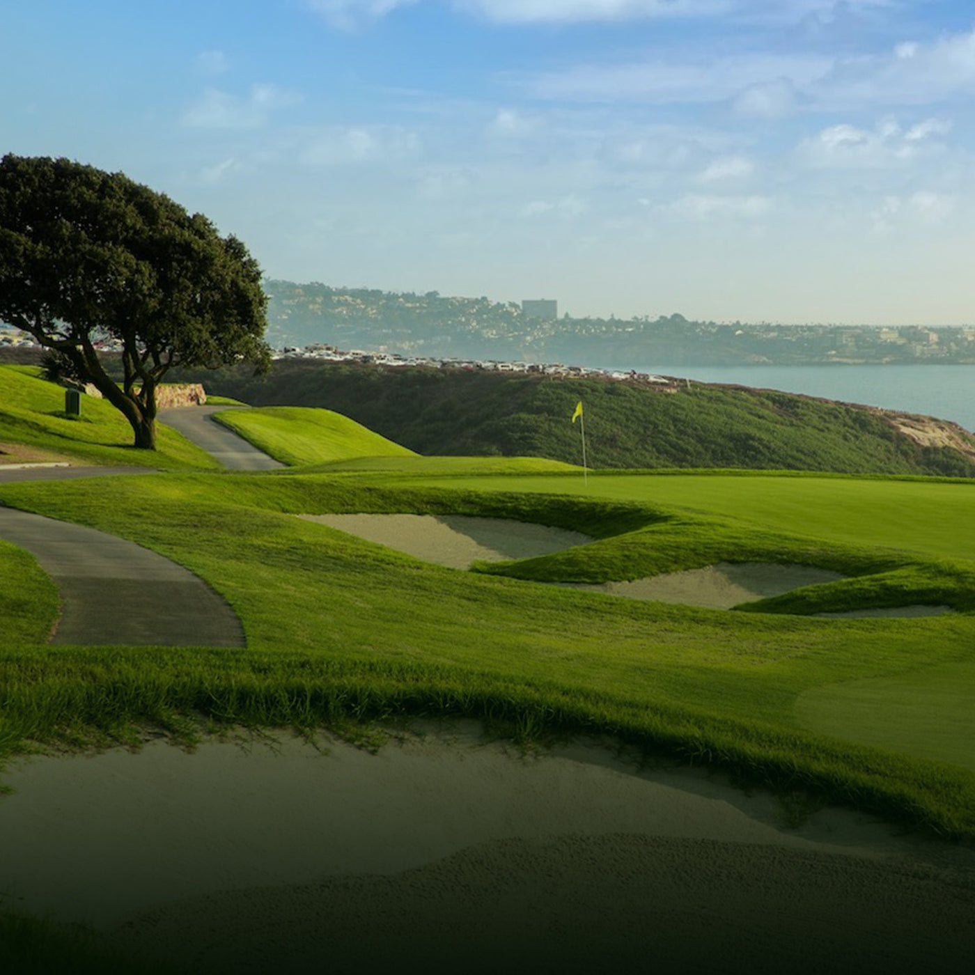 SkyTrak™—The #1 Maker of Launch Monitors & Golf Simulators